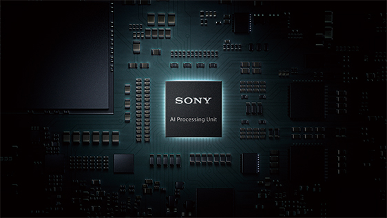 【スポーツ・動物撮影におすすめ】SONY α6700とおすすめレンズ3選 | YOUR CAMERA